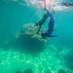 Airlie Beach: Whitehaven Beach Day Tour with Snorkel Option - Who Will Love This Tour?