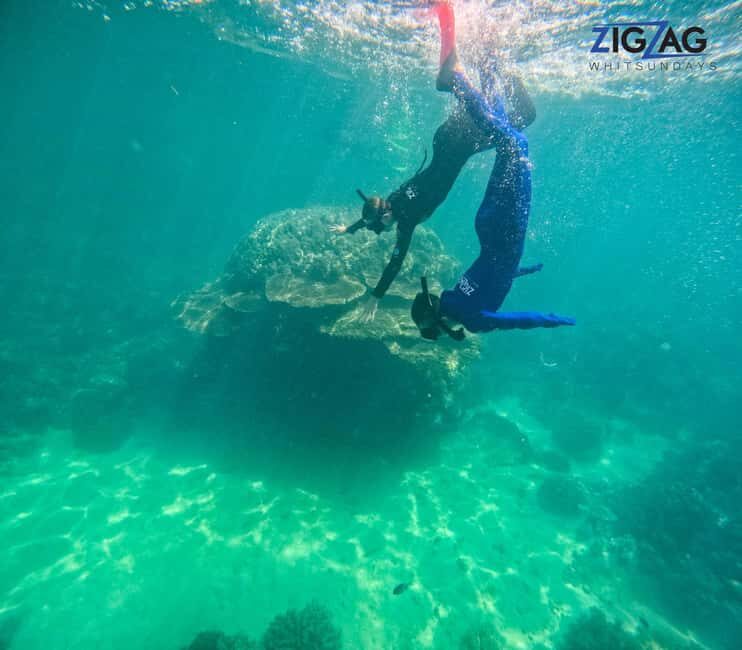 Airlie Beach: Whitehaven Beach Day Tour with Snorkel Option - Who Will Love This Tour?
