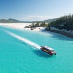 Airlie Beach: Whitehaven Full-Day Eco-Cruise with Buffet - What Makes This Tour Stand Out?