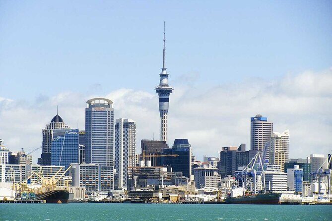 Airport Transfer: Auckland Airport AKL to Auckland by Luxury Van - The Vehicle and Comfort Level