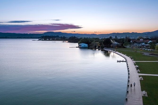 Airport Transfer From Auckland Airport To Auckland City - Why This Transfer Service Works for Many Travelers