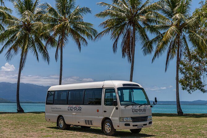 Airport Transfers between Cairns Airport and Palm Cove - Practical Tips for Your Transfer