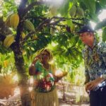 Airport Transfers from Honiara International Airport to Hotel - The Scenic Route and Commentary