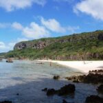 Airport Transfers from Hotel to Fua'amotu Int'l and Dom Airport - The Booking and Meeting Process