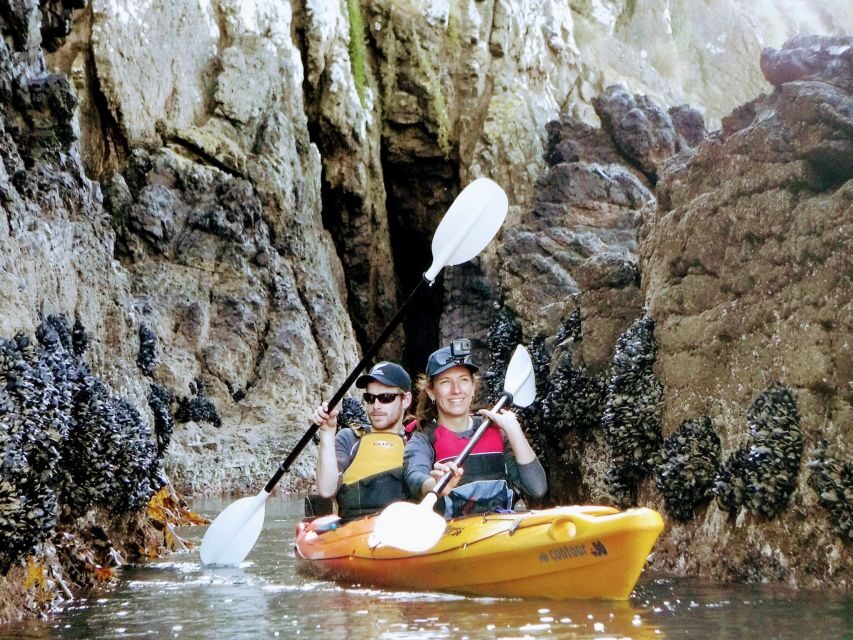 Akaroa: Akaroa Marine Reserve Sea Kayaking Tour - The Sum Up