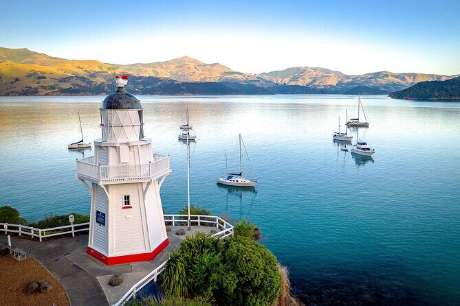 Akaroa & Banks Peninsula from Lyttelton(Private Shore Excursion) - What Sets This Tour Apart?