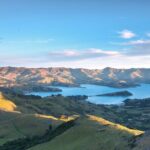 Akaroa & Banks Peninsula tour from Lyttelton (Shore Excursion) - FAQ