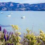 Akaroa Day Tour from christchurch Return - Cultural Stops and Local Flavors