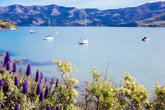 Akaroa Day Tour from christchurch Return - Cultural Stops and Local Flavors