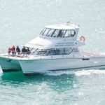 Akaroa Dolphins ~ Harbour Nature Cruise - The Comfort and Practical Details