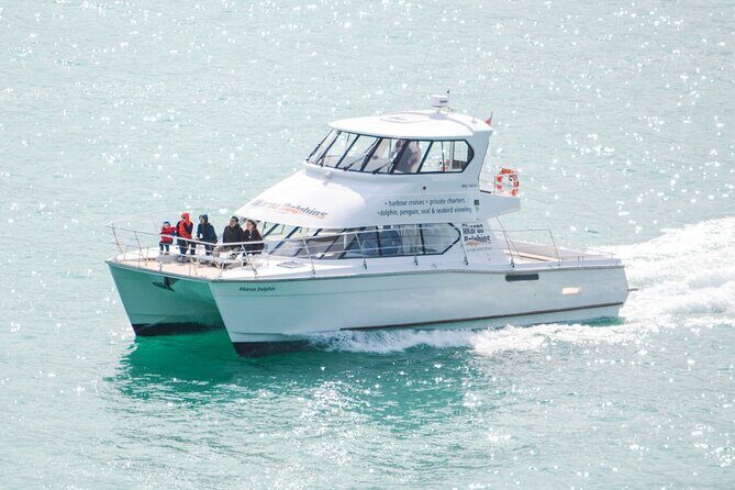 Akaroa Dolphins ~ Harbour Nature Cruise - The Comfort and Practical Details