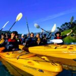 Akaroa: Electric Mountain Bike and Sea Kayak Adventure - The Bottom Line: Is It Worth It?