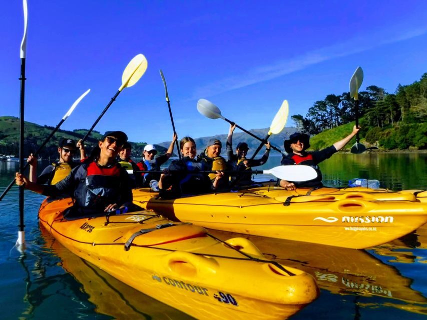 Akaroa: Electric Mountain Bike and Sea Kayak Adventure - The Bottom Line: Is It Worth It?