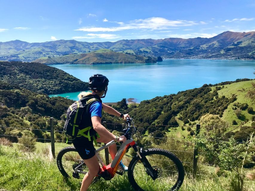 Akaroa: Guided Electric Mountain Bike Tour-Lava Loop - The Experience and Value for Money