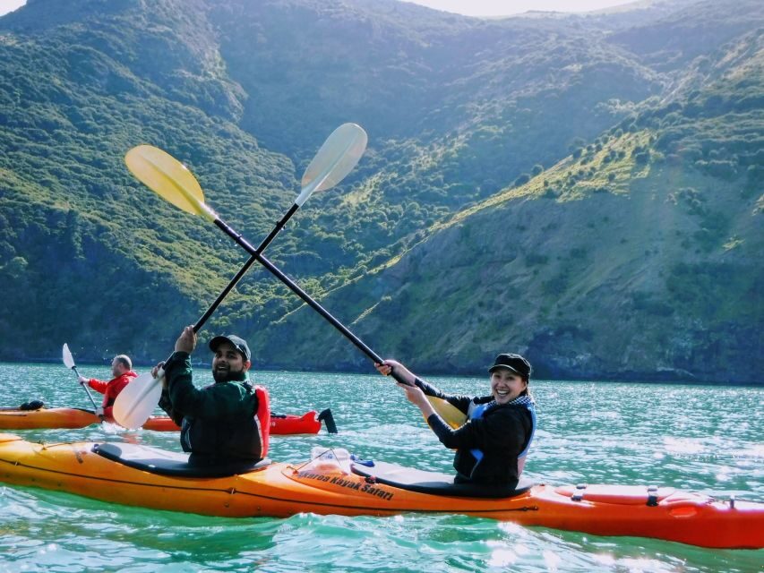 Akaroa: Guided Sunrise Sea Kayaking Tour - Who Should Consider This Tour?
