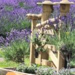 Akaroa Lavender Seasonal Guided Tour Experience - Practical Details and Booking Tips