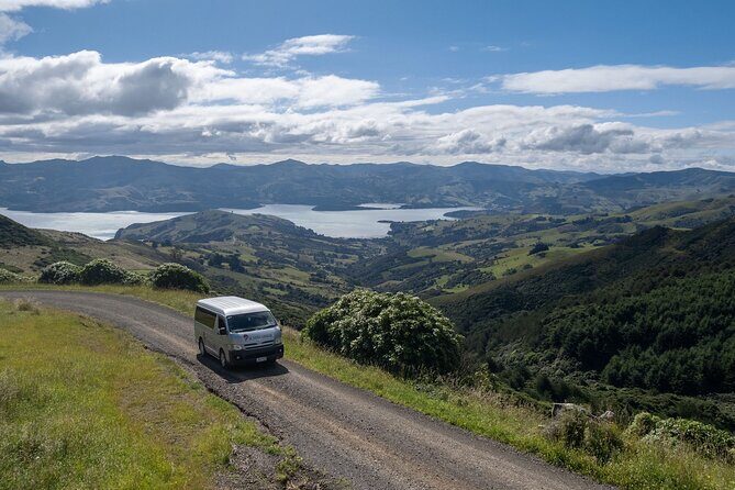 Akaroa Nature and History Tour - The 7th Generation - Overall Value and Experience