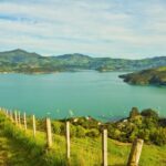 Akaroa: Pohatu Penguins Scenic Nature 2-Hour or 4-Hour Tour - Scenic Drive and Lookouts