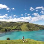 Akaroa Private Day Tour from Christchurch - Transport and Timing: Why They Matter