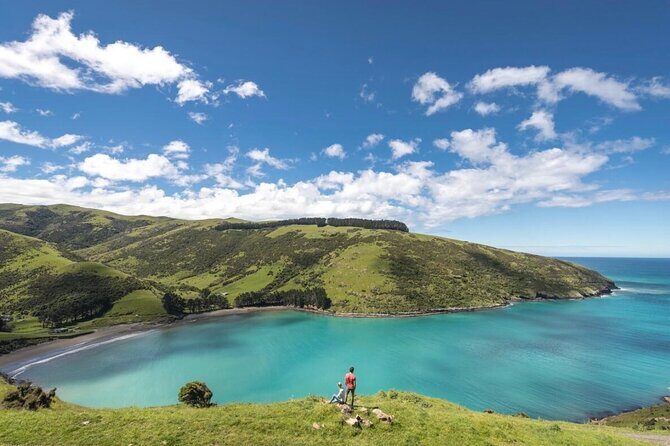Akaroa Private Day Tour from Christchurch - Transport and Timing: Why They Matter