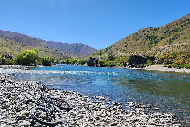 Akaroa Private Group Day Trip from Christchurch - Wildlife Encounters and Optional Activities