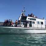 Akaroa: Scenic Coastline Wildlife Cruise - The Practical Side: Logistics & Value