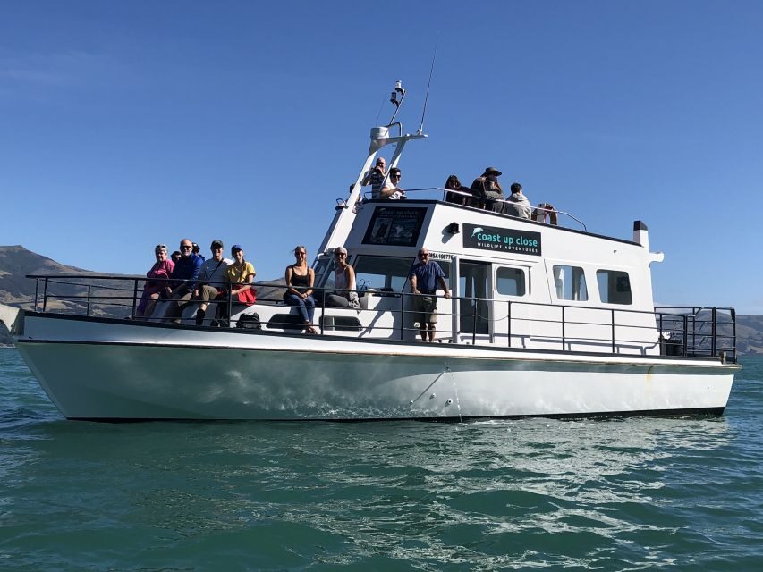 Akaroa: Scenic Coastline Wildlife Cruise - The Practical Side: Logistics & Value