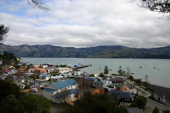 Akaroa Shore Excursion: Akaroa Harbour and Giants House Local Tour - The Itinerary Breakdown: What You’ll Experience