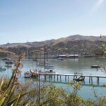 Akaroa Shore Excursion: Banks Peninsula, Christchurch City Tour and Willowbank Wildlife Reserve - Authentic Perspectives from Travelers