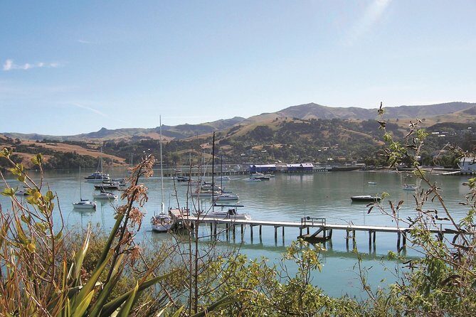 Akaroa Shore Excursion: Banks Peninsula, Christchurch City Tour and Willowbank Wildlife Reserve - Authentic Perspectives from Travelers