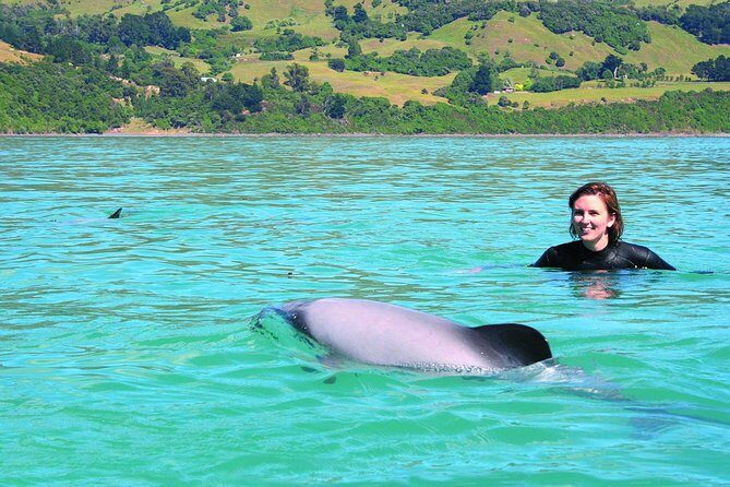 Akaroa Swim with Dolphins Tour from Christchurch - How the Tour Balances Value and Experience