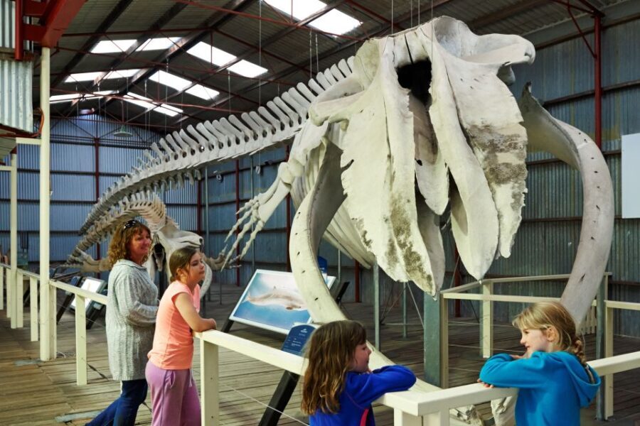 Albany: Historic Whaling Station Entry Ticket - Who Should Visit?