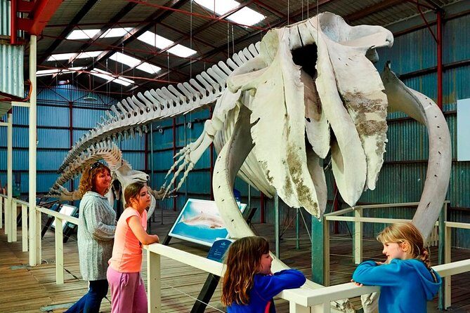 Albany's Historic Whaling Station Admission Ticket - Practicalities and Tips for Visitors