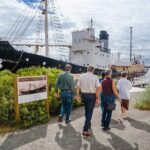 Albany's Whale Story - Key Points