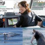 Albatross, seals, and sea birds-Wildlife Cruise - Why This Tour is a Good Choice