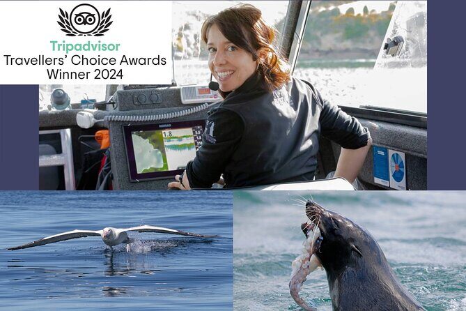 Albatross, seals, and sea birds-Wildlife Cruise - Why This Tour is a Good Choice