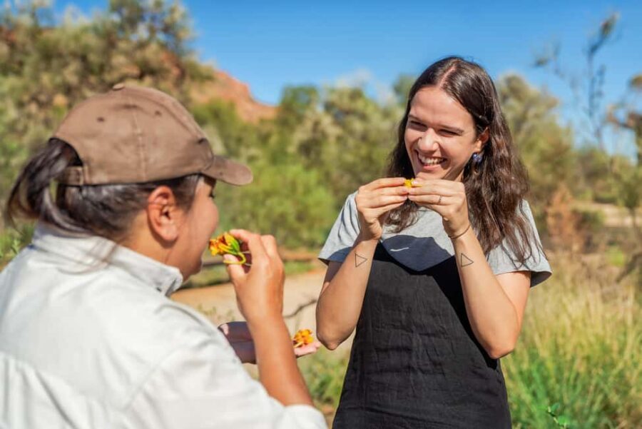 Alice Springs: Desert Park Entry Ticket - Setting the Scene: What is the Alice Springs Desert Park?