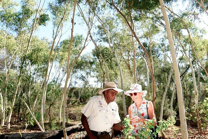 Alice Springs Desert Park General Entry Ticket - Analyzing the Value and Cost