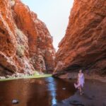 Alice Springs: Town Highlights and West MacDonnell Ranges - What’s Included and What You Should Know