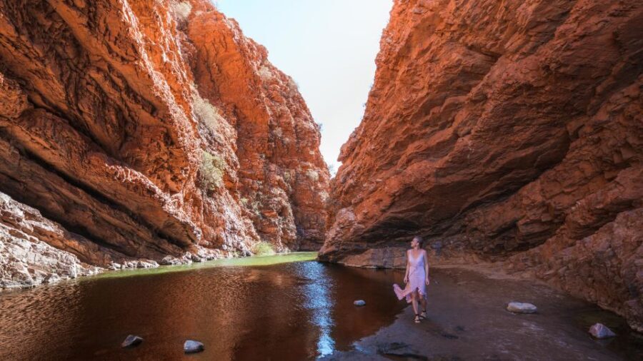 Alice Springs: Town Highlights and West MacDonnell Ranges - What’s Included and What You Should Know