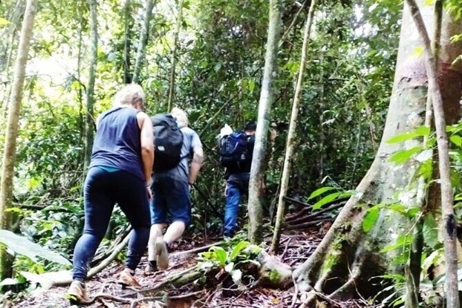 All-in 2N/3D Bukit Lawang Tour For School - Authenticity and Impact