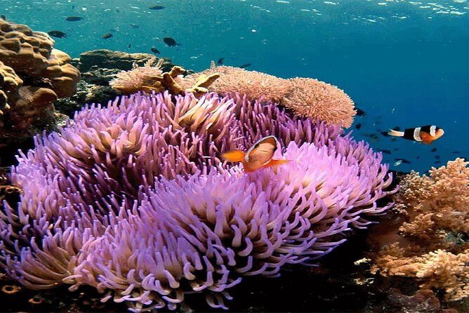 All Inclusive Bali Snorkeling Blue Lagoon tour experience - Beach and Cultural Stops