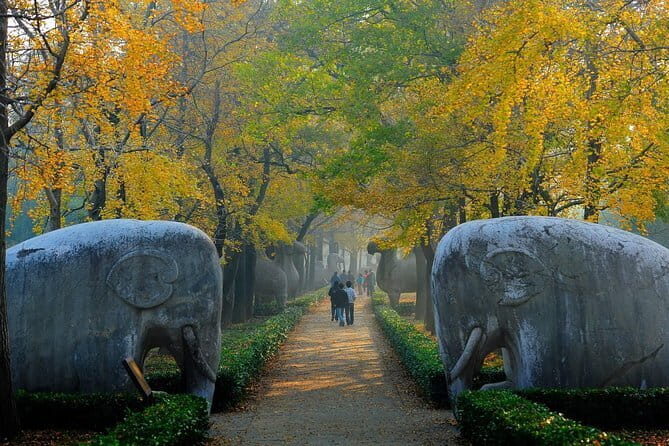 All-inclusive Customized Nanjing Layover Tour - Practical Tips for Making the Most of Your Nanjing Layover