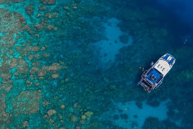 All Inclusive Great Barrier Reef Cruise w optional Scuba Diving - First Reef Stop: Saxon Reef