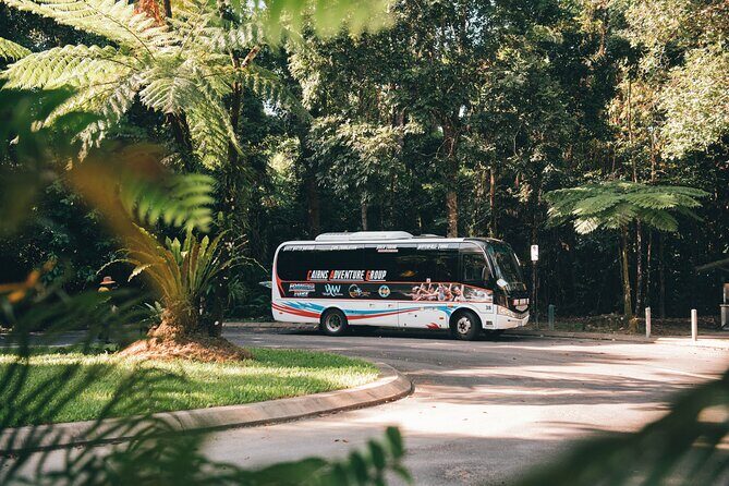 All Inclusive Waterfalls and Rainforest Tour from Cairns - Who Will Love This Tour?