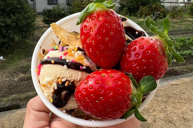 All You Can Eat Strawberry Picking in Izumisano Osaka - The Sum Up