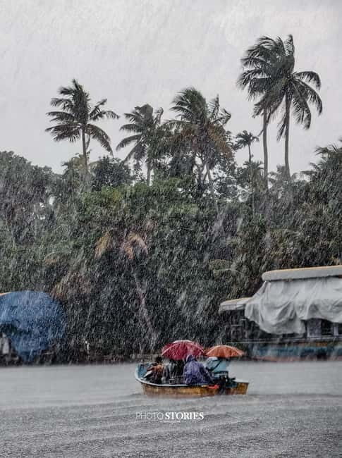 Alleppey: Kayaking and Shikkara Boat Tour with Local Meal - Final Thoughts