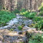 Almaty in a Day: Mountains and City Highlights - What’s Included and What You Might Need to Bring