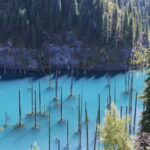 Almaty: Kolsai and Kaindy Lakes & Black Canyon Full-Day Trip - What You Can Expect from the Day