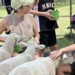 Alpaca Feeding with Wildlife and Nature Park Visit Private Tour - What the Tour Includes and What It Doesn’t